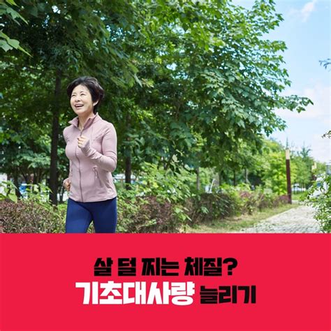 중년다이어트 모로실 부작용 없을까 모로실 섭취방법 네이버 블로그
