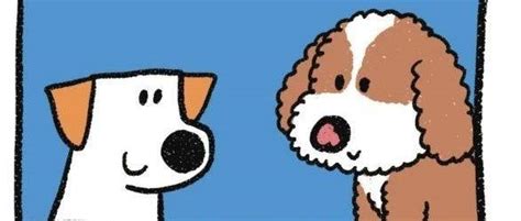 又见面了，邪恶摇粒绒小狗绘本绵羊