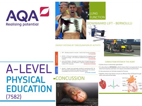 AQA A Level PE Sec A Complete Resource Teaching Resources