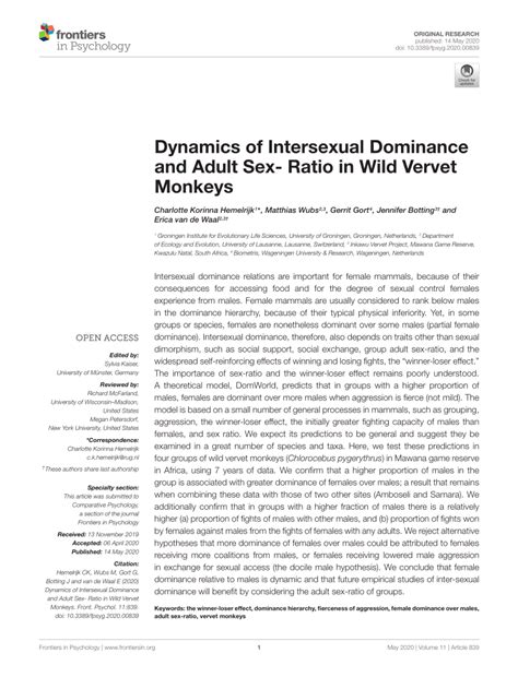 PDF Dynamics Of Intersexual Dominance And Adult Sex Ratio In Wild Vervet Monkeys
