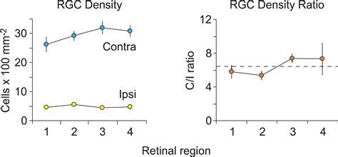 Figure 2 From Anatomical Origins Of Ocular Dominance In Mouse Primary