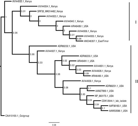 Consensus Bayesian Phylogenetic Tree Of The Bean Common Mosaic Necrosis Download Scientific