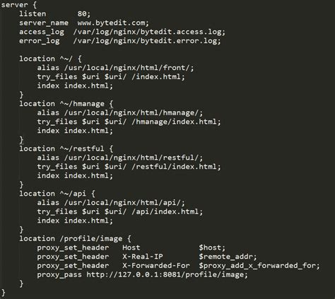 vue 多项目nginx部署 二级目录 李帆同学 博客园