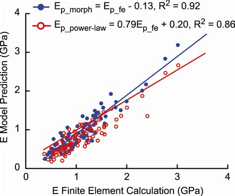 4 The Morphological Model Provided A Better Prediction Of The Modulus