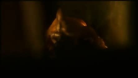 Nandita Das Sex In Earth Movie