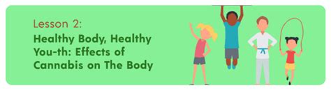 Middle School Lesson 2 Healthy Body Healthy You Th Cannabis