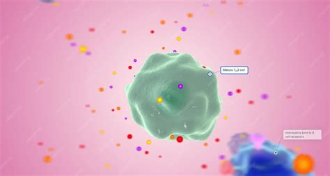 Premium Photo The Il4 And Il13 Released From Th2 Cells Bind To