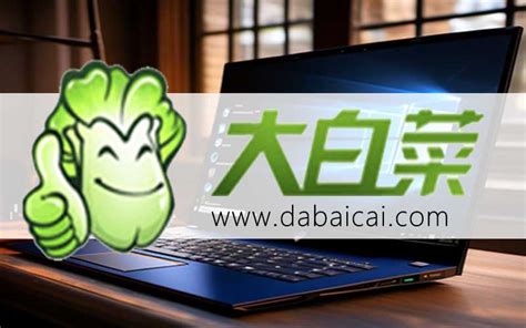 如何把u盘做成pe启动盘 怎么制作u盘启动盘 大白菜u盘启动