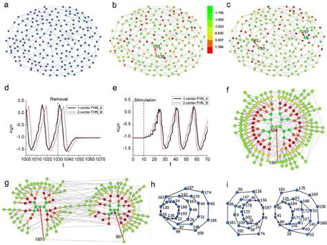 Color Online A Homogeneous Network Considered With N K Download Scientific