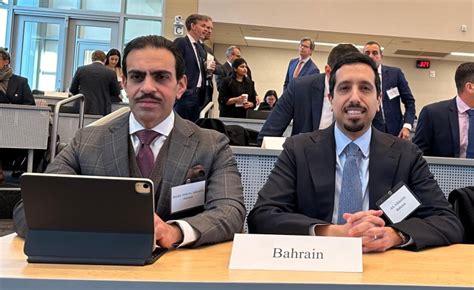 Ambassador To Us Participates In International Declaration On