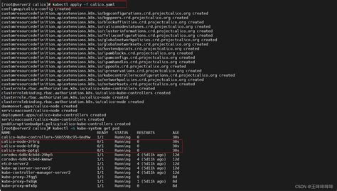 K8s——10网络通信（flannel、calico） 源码巴士
