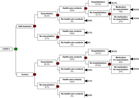 Decision Analytic Model Download Scientific Diagram
