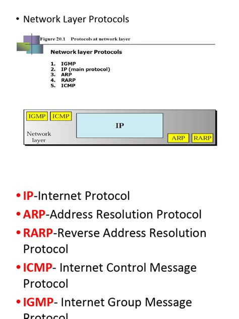 arp rarp pdf internet protocols ip address