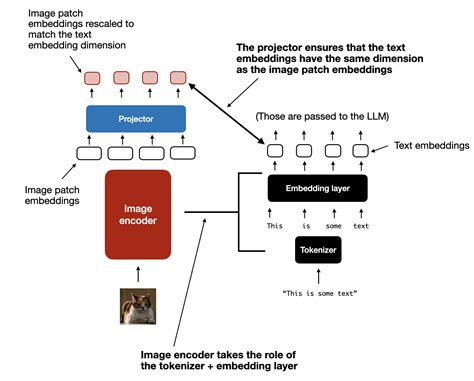 understanding multimodal llms