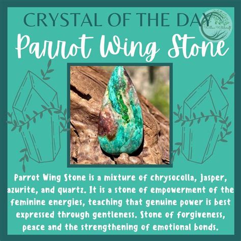 Parrot Wing Stone Meaning Healing Crystals For You Crystal Healing Parrot Wing Stone Meaning Healing Crystals For You Crystal Healing