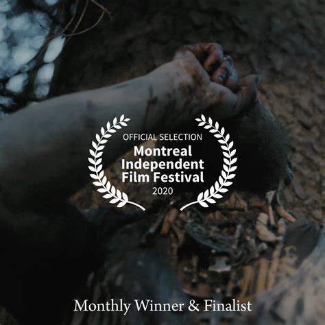 Sol Productions Shadows Of Light Has Won The Monthly Selection At The Montreal Independent