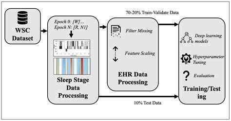 Multimodal Neural Network Analysis Of Single Night Sleep Stages For