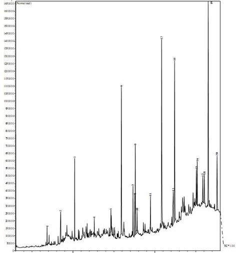 GC MS Chromatogram Of Leaves Extract Of C Spinosa Download Scientific Diagram