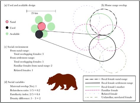 Schematic Of How Social Variables Were Derived For The Study On The