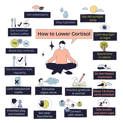 Ways To Lower Your Cortisol Levels Seniorstoday