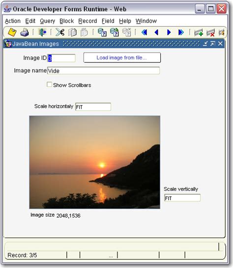 Jinitiator 1 3 1 28 For Windows 7 Trinitymultifiles