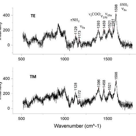 Hierarchies Of Assembly Of Species On A Slab Waveguide Optical Chemical