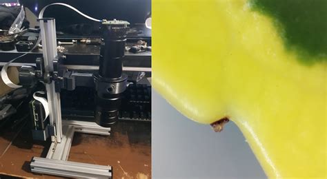 DIY Microscope Uses Raspberry Pi HQ Camera To Take Impressive Photos Tom S Hardware