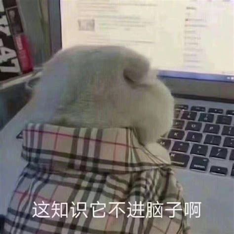 学习表情包 堆糖美图壁纸兴趣社区