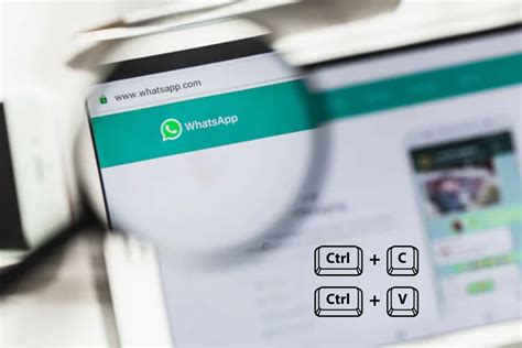 Speed Up Your Chat The Best Keyboard Shortcuts For WhatsApp Web