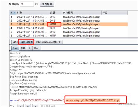 靶场练习exploiting Cross Site Scripting To Steal Cookies Csdn博客