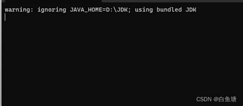 Warning Ignoring Java Home D Jdk Using Bundled Jdk Csdn