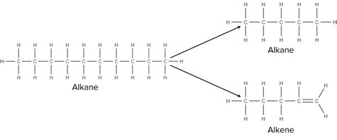 Crude Oil Hydrocarbons And Alkanes