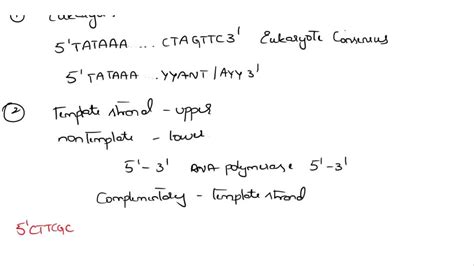 Solved The Consensus Sequence For 3 Prokaryotic Promoter Is 5 Ttgaca