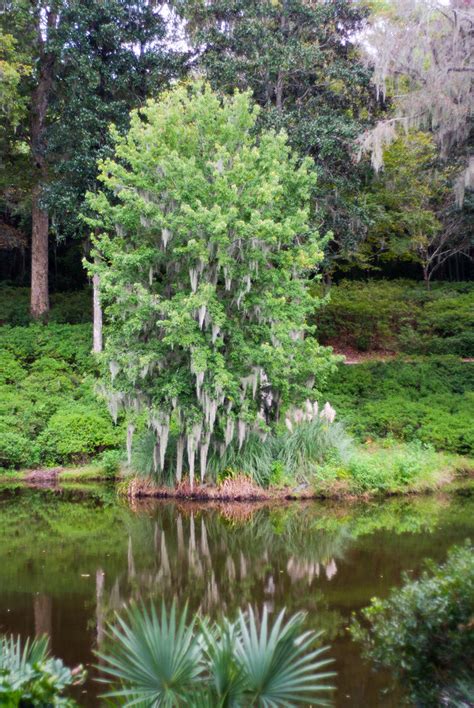 Imgp1663 Drew Hudson Flickr