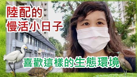 生活再忙碌，也該試著放慢腳步，重新發現周遭微小的美好，台灣宜居與自然共存，鳥都不怕人，幸福也可以很簡單~~ Youtube