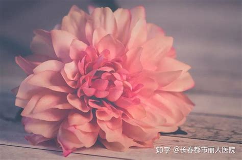 “私处粉红色才算好女孩？” 有这个说法吗？ 知乎