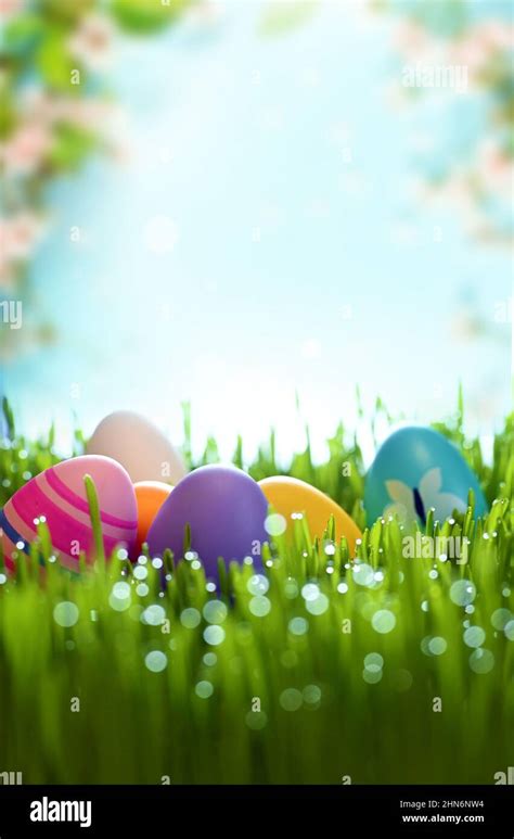 Easter Egg Grass Background