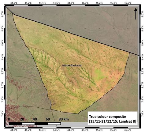 True Colour Composite Bands 6 5 4 Of Gashamo For The Period Download Scientific Diagram