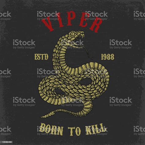 뱀 코브라 파이썬 빈티지 흑백 스타일의 독사의 일러스트 포스터 티셔츠용 디자인 요소 벡터 일러스트레이션 뱀 가죽에 대한 스톡