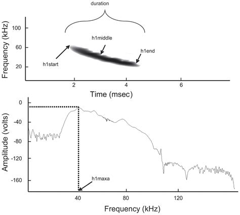 Sex And Season Differences In The Echolocation Pulses Of Big Brown Bats Eptesicus Fuscus And Sex And Season Differences In The Echolocation Pulses Of Big Brown Bats Eptesicus Fuscus And