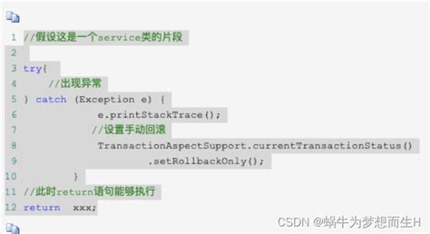 spring 自定义异常 手动回滚 transactionaspectsupport currenttransactionstatus