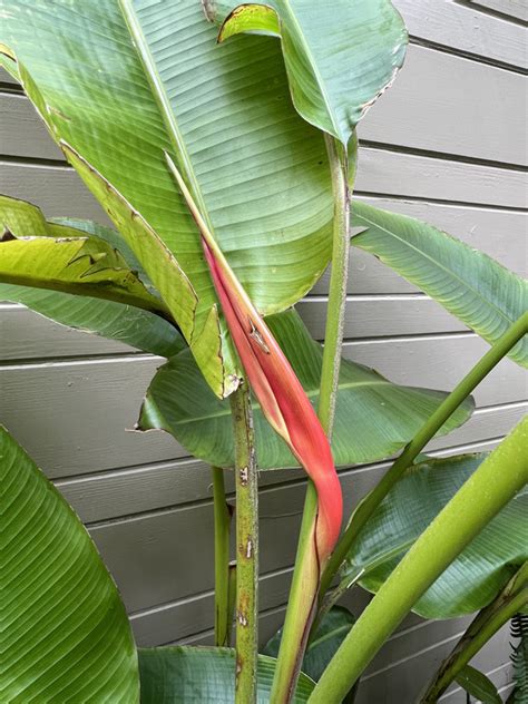 5720 A3 E7 8279 45 B6 9 F9 D 30 E1 Dae35 B9 A — Postimages