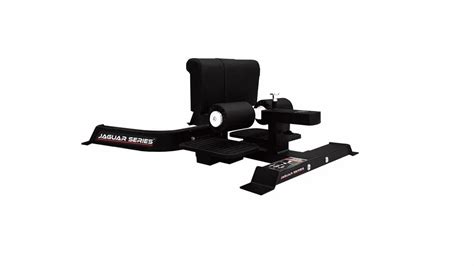 Mild Steel Sissy Squat Machine At ₹ 17500 In Cuttack Id 2851504530262