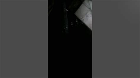 2025 ခုႏွစ္ ေဖေဖာ္ဝါရီလ 5 ရက္ Youtube