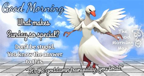 No One Thinks Youre Stupid Bozo Suck It Up Good Morning R