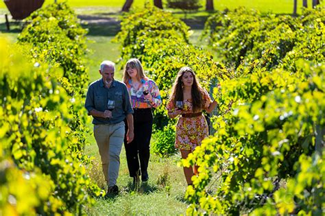 호주관광청 워킹 홀리데이를 특별하게 보낼 수 있는 호주의 도시 소개 디지틀조선일보디조닷컴