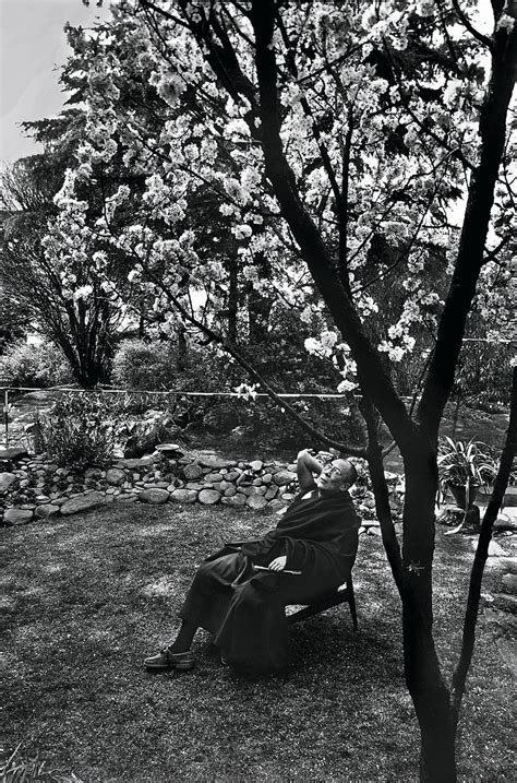 Цөллөгдсөн бурхан буюу Далай Ламын амьдрал гэрэл зургийн дуранд Unread Today