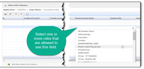 Restricting Fields Columns On A Reporting Page