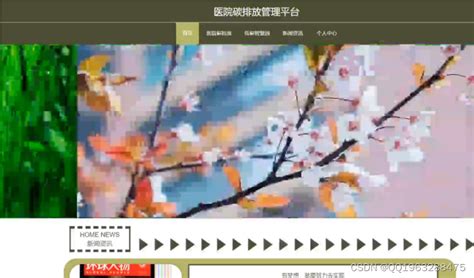 Nodejspythonphpspringbootvue 医院碳排放管理平台系统医疗碳排放监测平台 Csdn博客