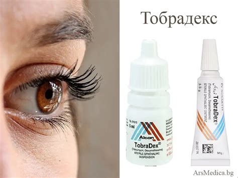 Mchc средна концентрация на хемоглобин в еритроцитите Arsmedica Bg